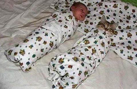 Swaddling: Why treating your baby like a rolled street taco is great ...